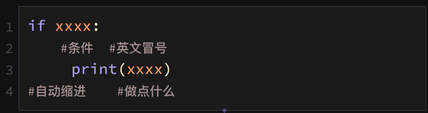 If 条件判断语句的用法if判断条件怎么写 Csdn博客 4692