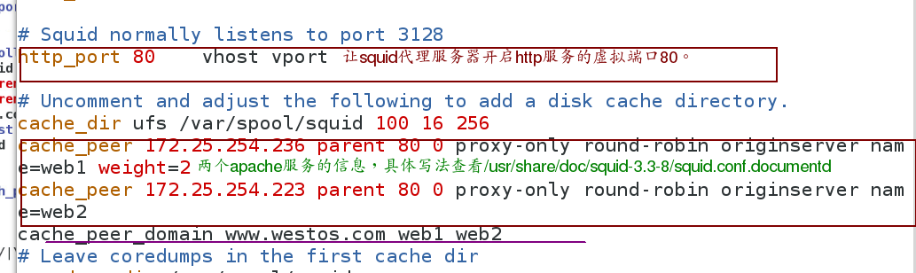 Squid代理服务器_qi __ jie的博客-CSDN博客_squid代理