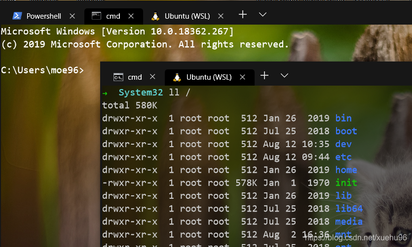 Windows Terminal新版终端 美化设置背景图片和标题terminal 怎么设置标题 Csdn博客