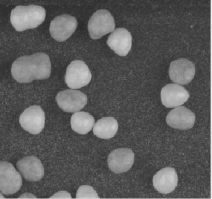 第五课： 图像的 BLOB 分析处理几何变换（union_adjacent_contours_xld）--find_pads.hdev，count_pellets.hdev ...