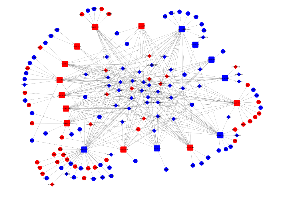 TCGA数据库ceRNA网络构建（三）ceRNA网络构建_构建cerna网络的过程-CSDN博客