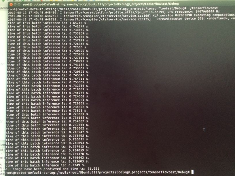 tensorflow c++ API预测多张图片batch inference_多张图片预测-CSDN博客