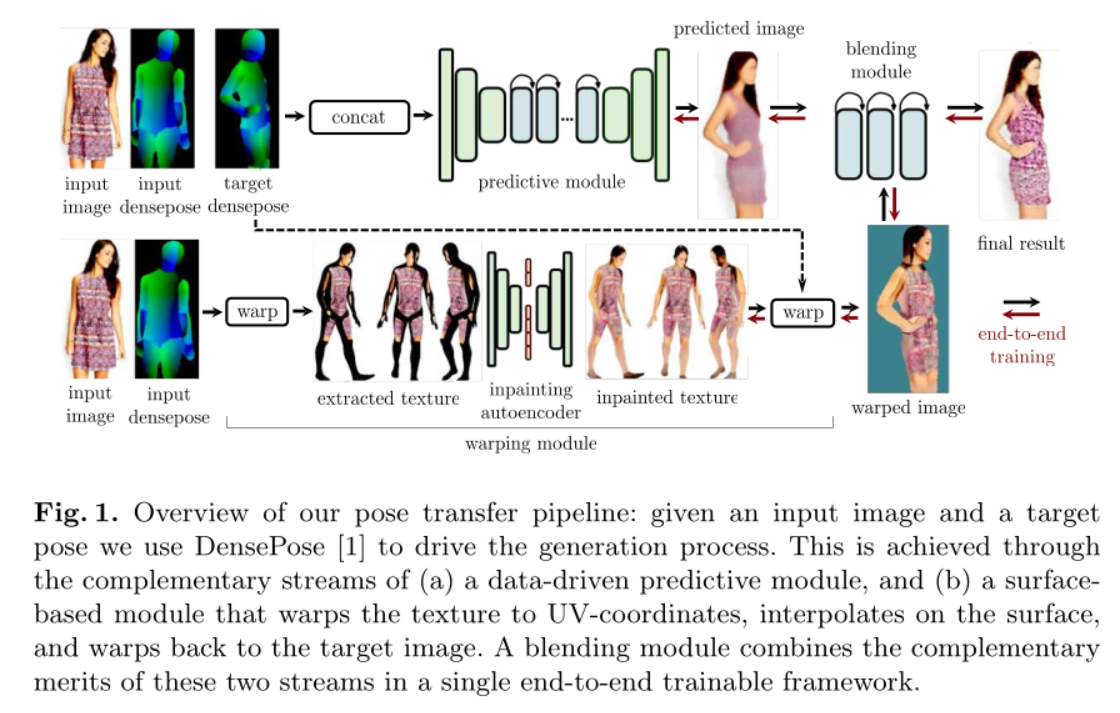稠密姿态迁移-Dense Pose Transfer_denpose parsing类别-CSDN博客