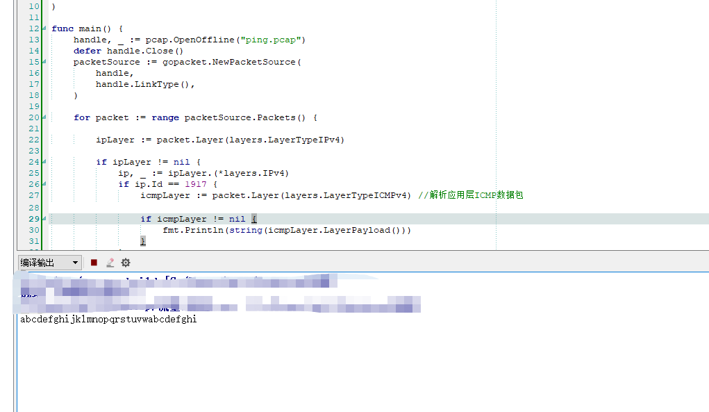 使用gopacket解析协议层中的相关数据_gopacket rtmpt-CSDN博客
