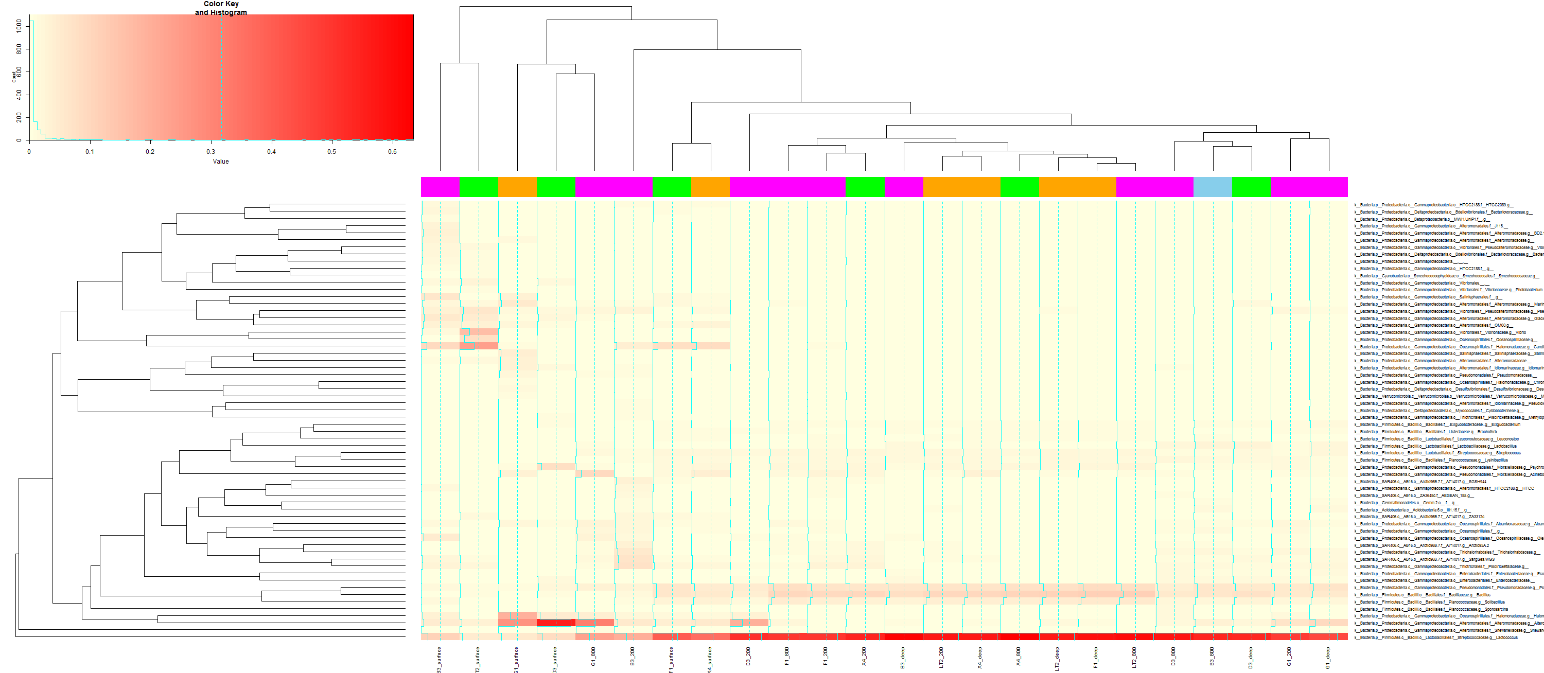 从qiime2中导出丰度数据用R语言绘制热图_r语言怎么获得qiime2输出的otu表格-CSDN博客