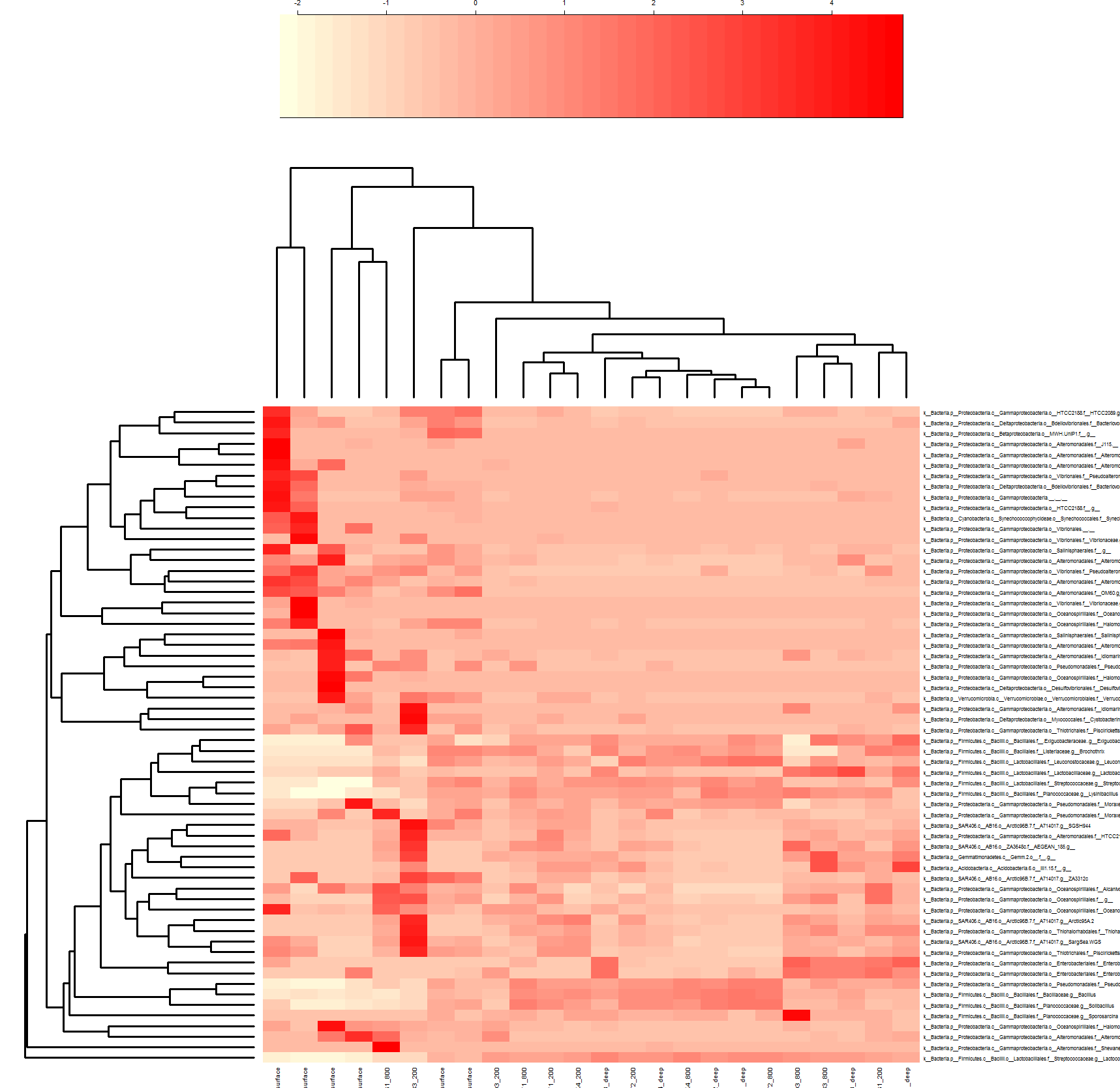 从qiime2中导出丰度数据用R语言绘制热图_r语言怎么获得qiime2输出的otu表格-CSDN博客