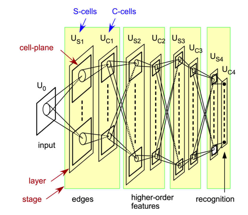 NeoCognitron-CSDN博客