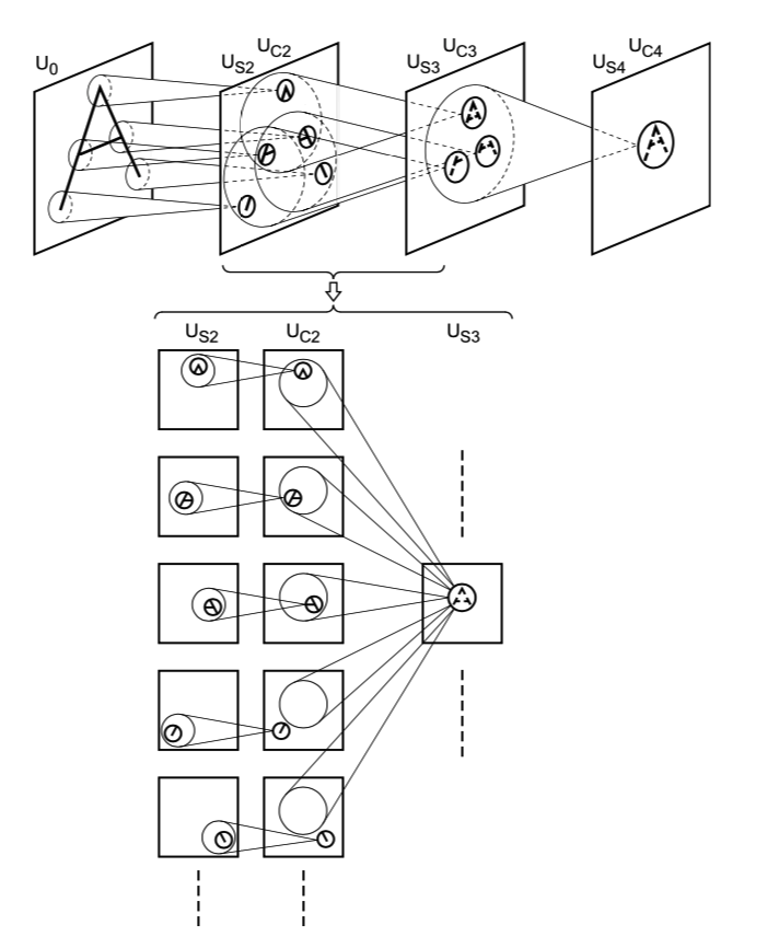 NeoCognitron - 忆云竹