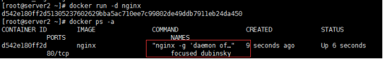 Docker容器安装及使用container Selinux Csdn博客