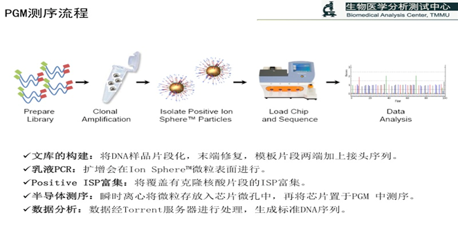 [中心]测序技术_pgm转pgm最简单三个步骤-CSDN博客
