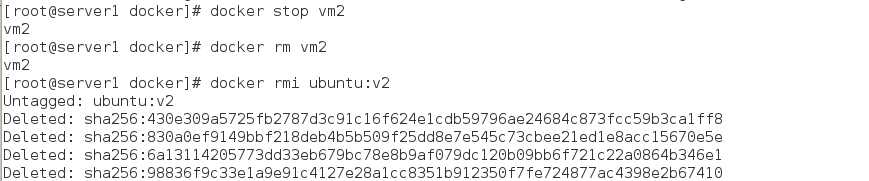 Docker之dockerfile常用指令及镜像的构建shell和exec格式的区别dockerfile中shell And Exec Csdn博客 