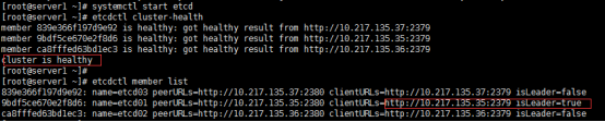 二进制安装kubernetesk8s二进制包安装的etcd没有etcdctl Csdn博客