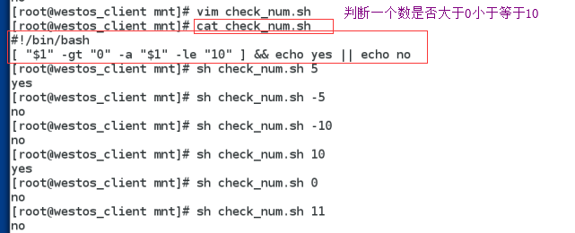 Shell基本命令以及正则表达式sh└┐ ┌┘中合 Csdn博客 