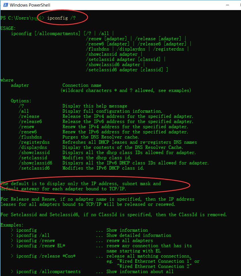 windows 命令：ipconfig 和 ping 详解笔记_winipifg-CSDN博客