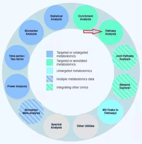 Metabo Analyst使用教程-Pathway Analysis模块_metaboanalyst热图教程-CSDN博客