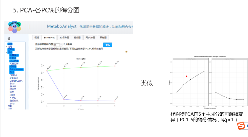 metaboanalyst-statistic解析-满满干货！-CSDN博客