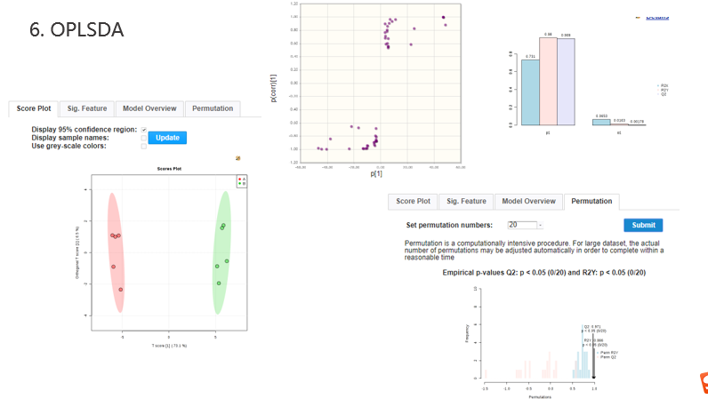 metaboanalyst-statistic解析-满满干货！-CSDN博客