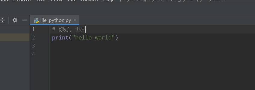 pycharm 项目和项目文件命名规则_project name should-CSDN博客