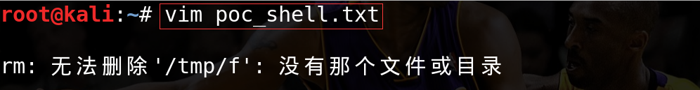 漏洞复现----CVE-2019-12735 vim编辑器任意代码执行漏洞复现及利用_cve-2019-12953漏洞如何解决-CSDN博客