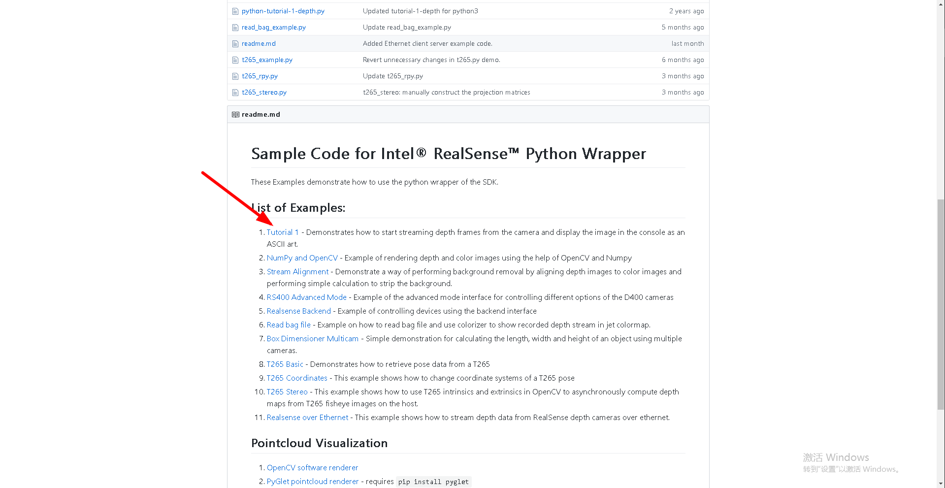 Intel Realsense D435 python 实战（一）_intel d435 python 关节识别-CSDN博客