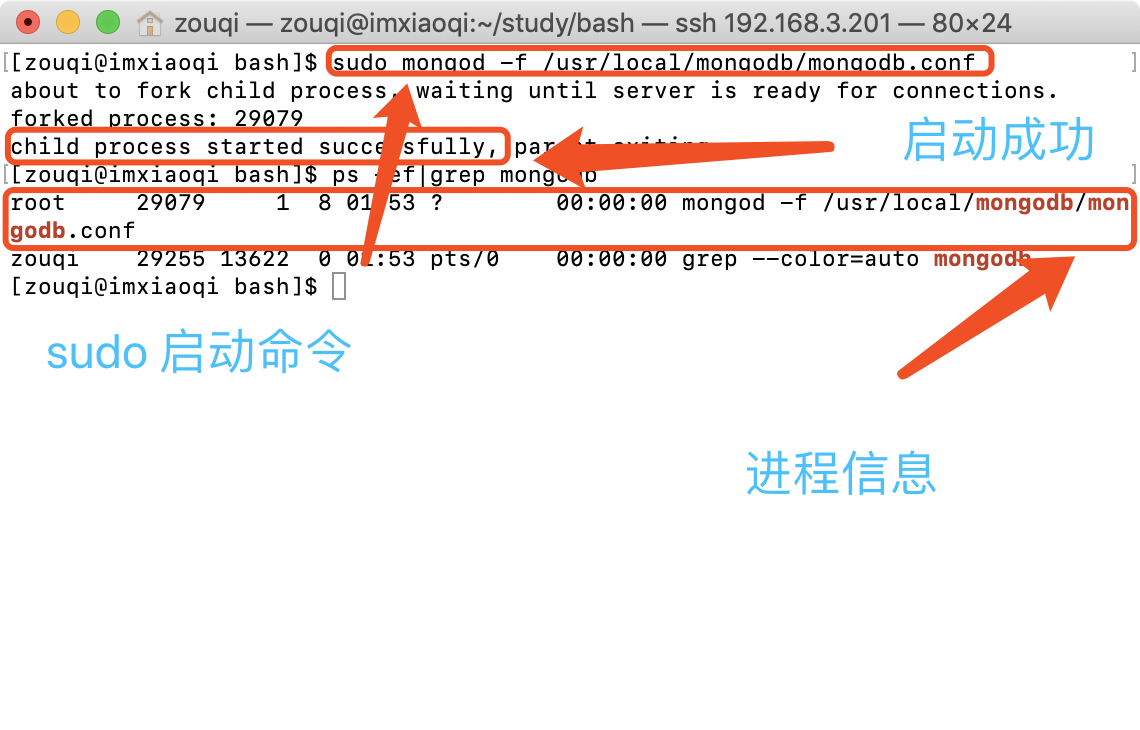 sudo: mongod：找不到命令_sudo: mongod:找不到命令-CSDN博客
