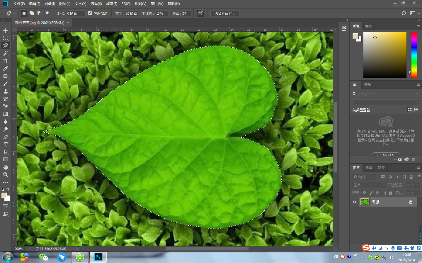 Adobe Photoshop CC 2018之ps磁性套索工具抠图（☆）_ps2018套索工具-CSDN博客