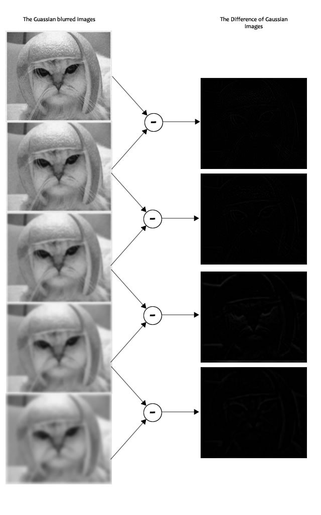 一文读懂SIFT算法（英文版）_key location orientation assignment-CSDN博客