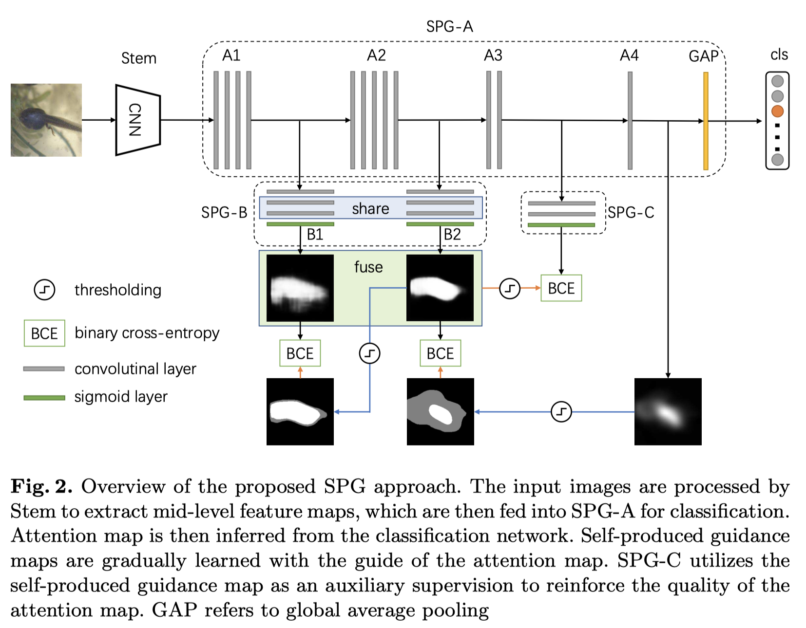 Ideas For Weakly Supervised Object Localization_A_bigUncle的博客-CSDN博客