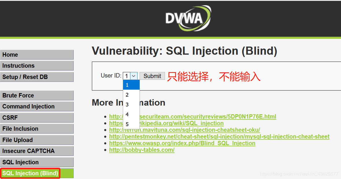 Kali渗透测试之DVWA系列（四）——使用Burp Suite进行SQL Injection（Blind）（SQL盲注，包括盲注脚本）_dvwasql盲注-CSDN博客