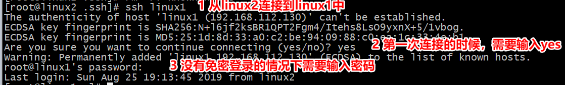 Linux下ssh免密远程登录的图文配置过程:从虚拟机克隆linux系统到免密登录全过程详解linux免密克隆机 Csdn博客