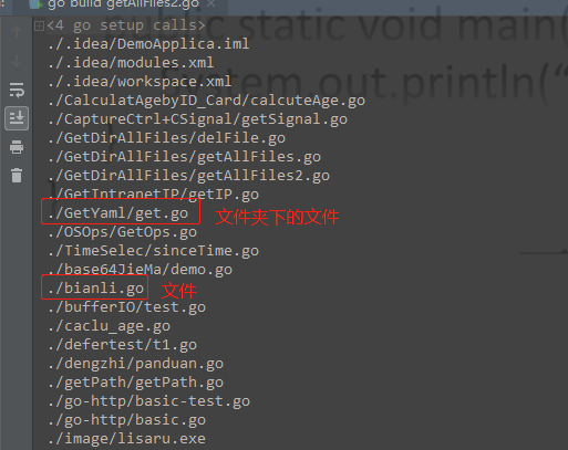 golang获取目录下所有文件_golang 读取目录下的所有文件-CSDN博客