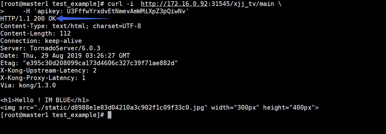 Kong的插件： Key Authentication-CSDN博客