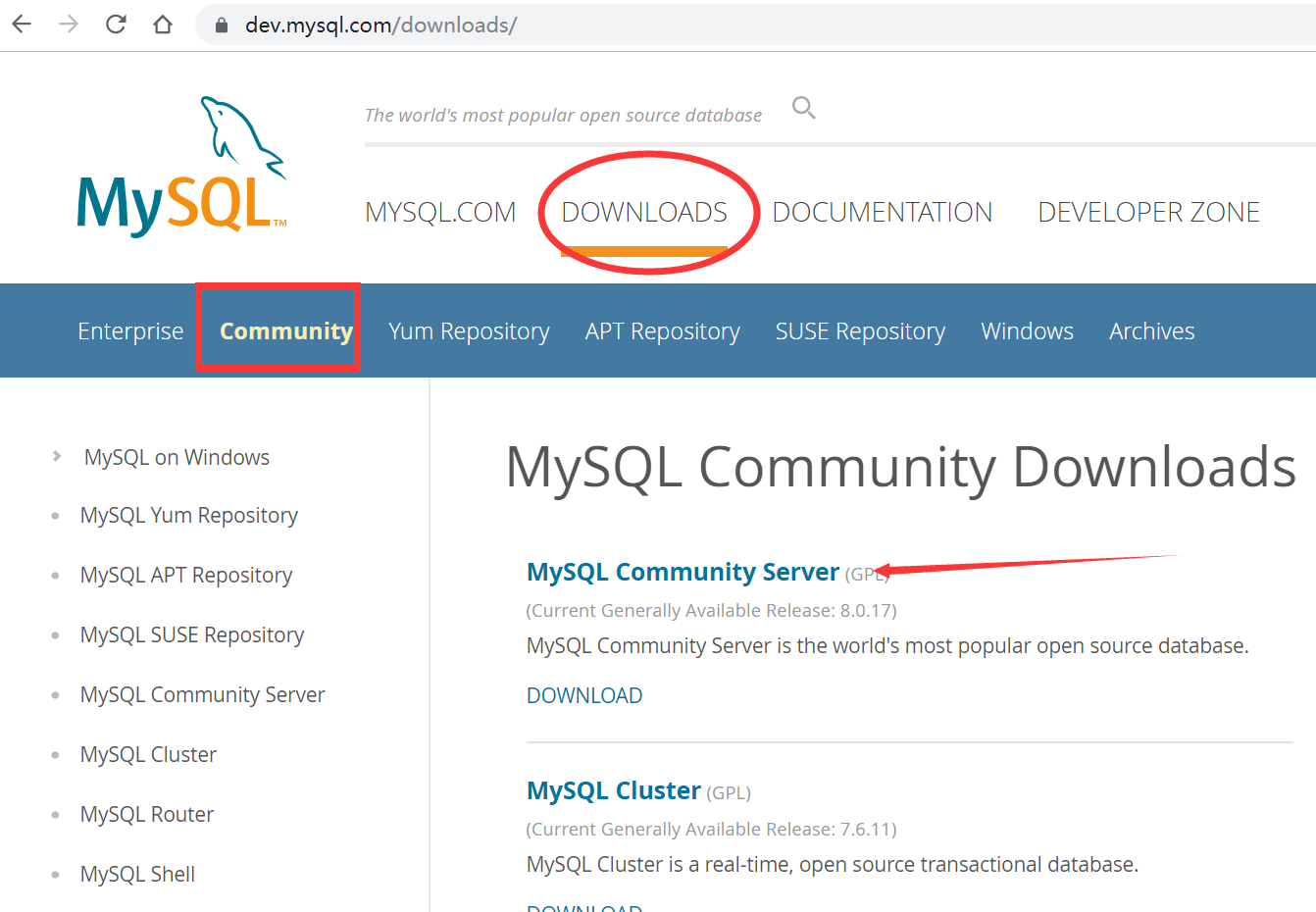MySQL下载安装和使用教程_pc mysql安装教程-CSDN博客