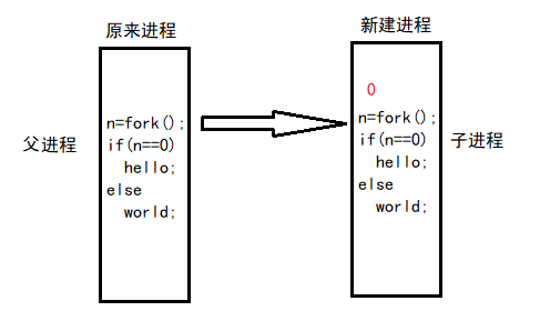 【Linux】fork函数详解以及与vfork的区别_fork和vfork的作用和区别-CSDN博客