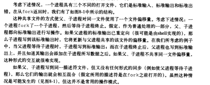 【Linux】fork函数详解以及与vfork的区别_fork和vfork的作用和区别-CSDN博客