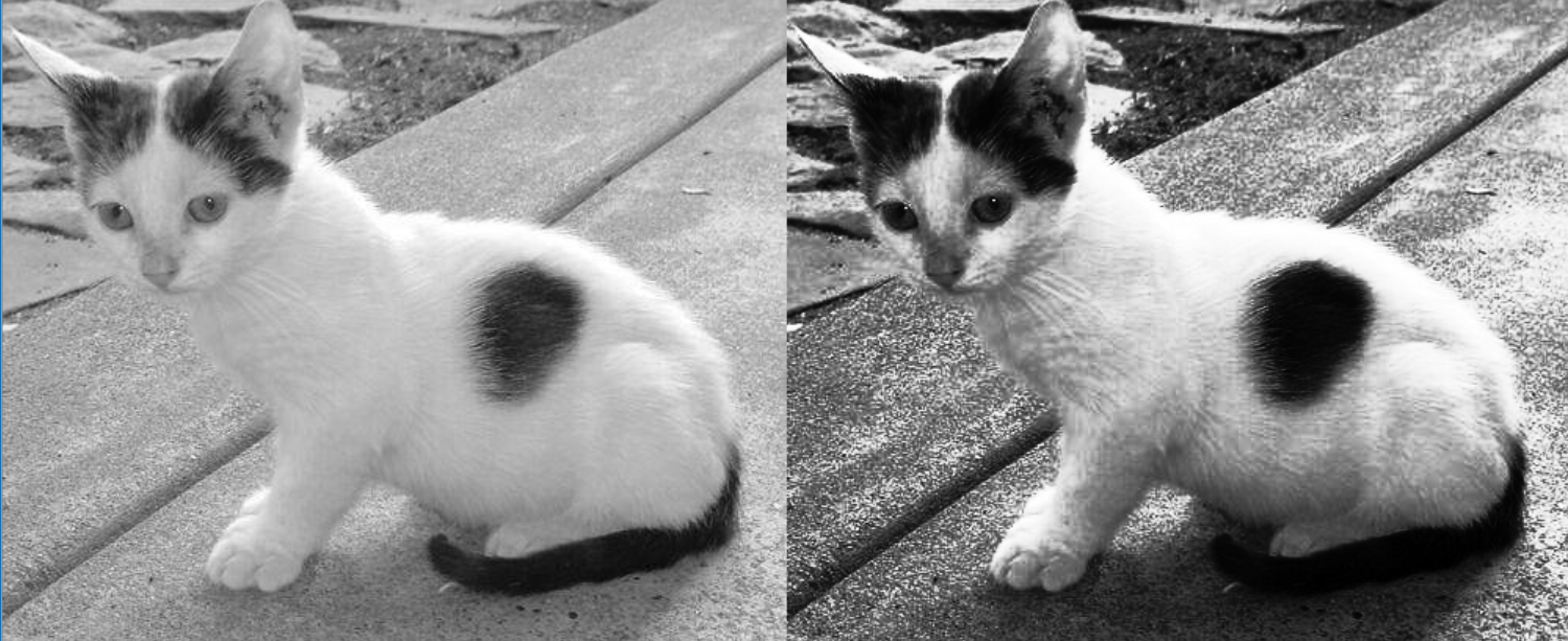 OpenCV(八) —— 直方图(mask操作 & (自适应)直方图均衡化) & 模板匹配 & 图像特征(harri角点检测)_自适应mask ...