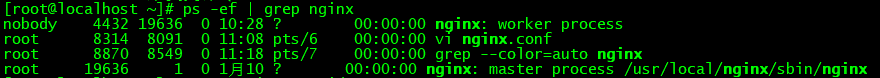 Linux如何查看nginx是否启动linux有多个nginx怎么区分 Csdn博客