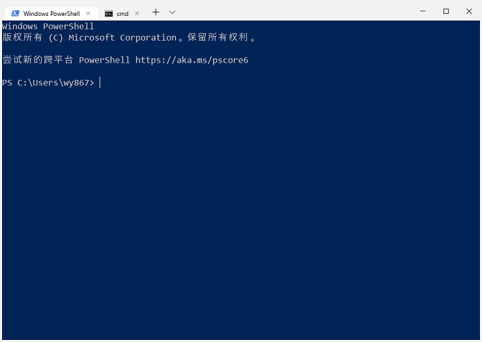 Windows Terminal 初探(一)：Settings 里面的 profiles.json 该怎么配置-CSDN博客