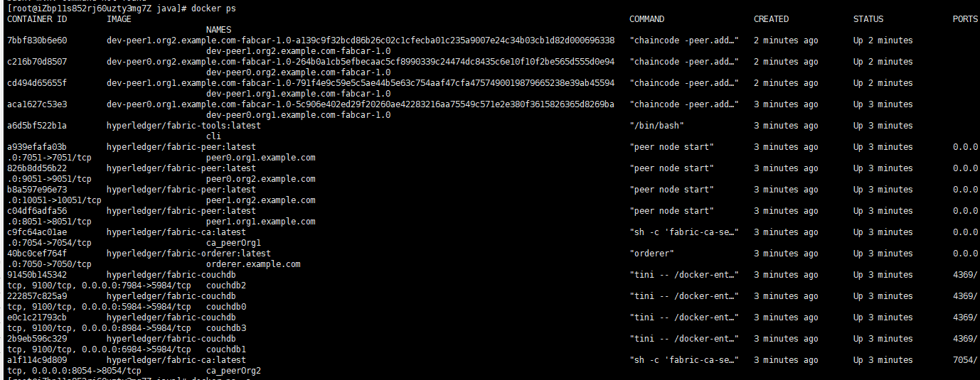 fabric1.4.3 运行fabcar_java springboot fabric1.4 fabcar-CSDN博客