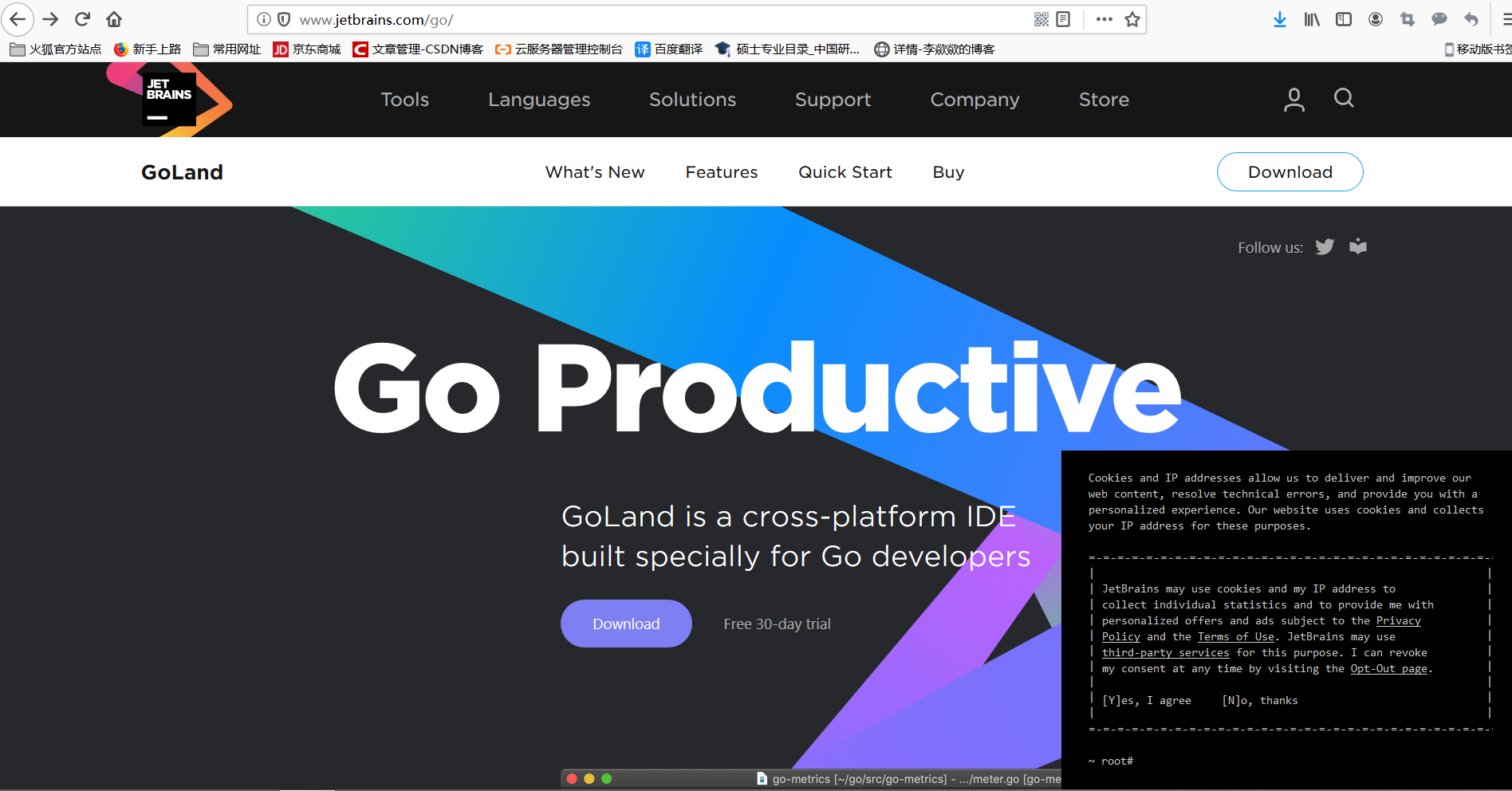 GoLand下载安装和使用_goland安装完必须登录-CSDN博客