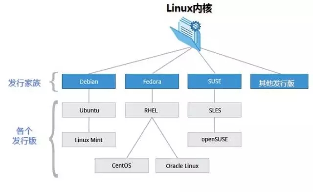 Linux操作系统各版本直接的区别？debian和deepin区别 Csdn博客 