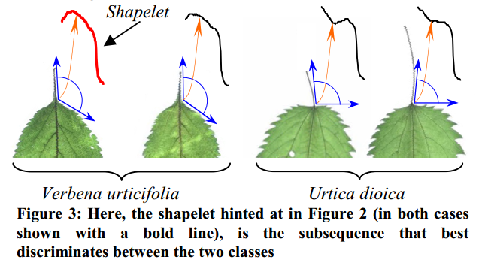 时间序列：Shapelets-CSDN博客