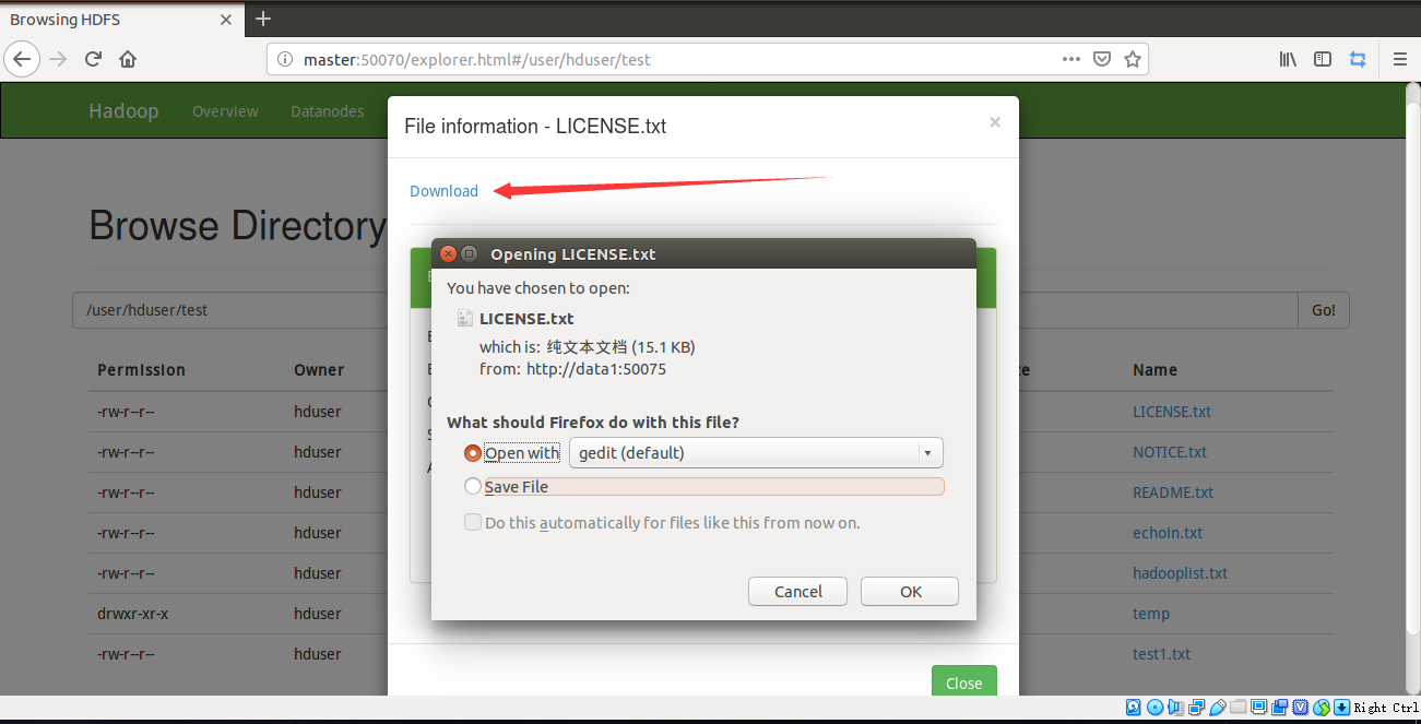 Hadoop HDFS常用命令配图文_hdfs put-CSDN博客
