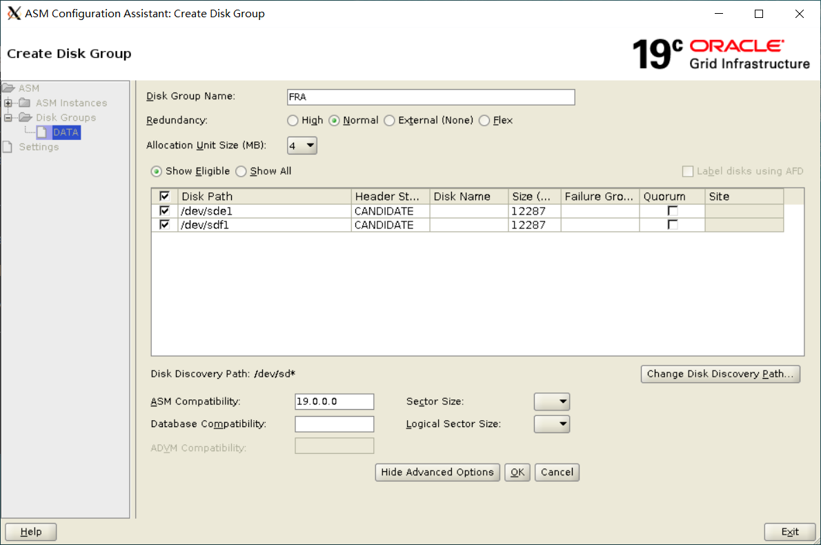 Oracle 19c数据库基于ASM的安装_windows oracle 19c asm-CSDN博客