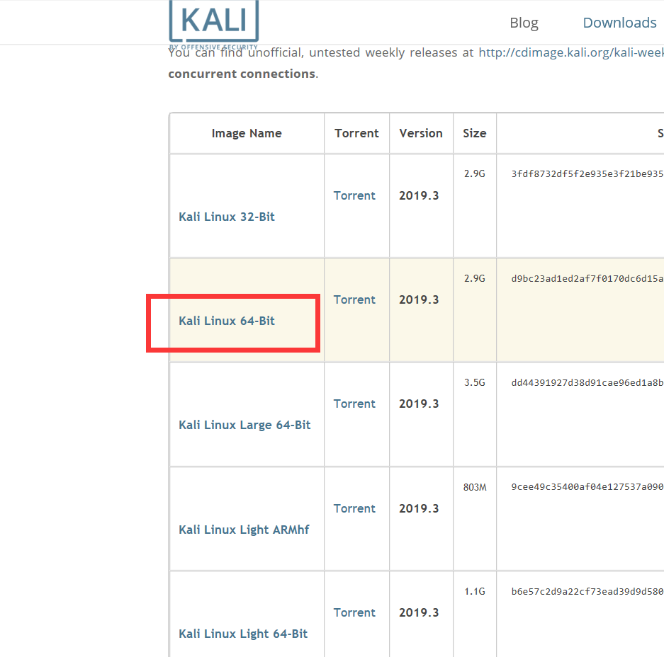 详细安装 kali 教程 和 基本命令使用_kali域名怎么填-CSDN博客