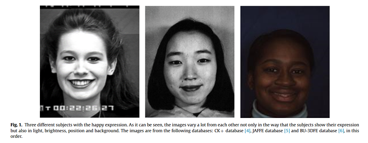 FER基于卷积神经网络: 处理少量数据和训练样本订单FER with CNN:Coping with few data and the training sample order_jaffe ...