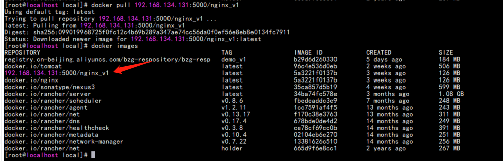 使用nexus 存储 docker镜像,作为私有的镜像仓库_nexus 存储docke镜像-CSDN博客