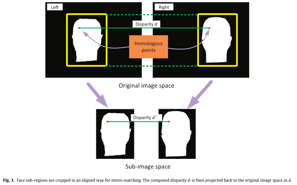 论文《Fast spatial–temporal stereo matching for 3Dface reconstruction ...