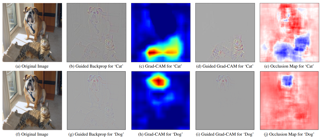 CNN可视化-Guided Grad-CAM-CSDN博客