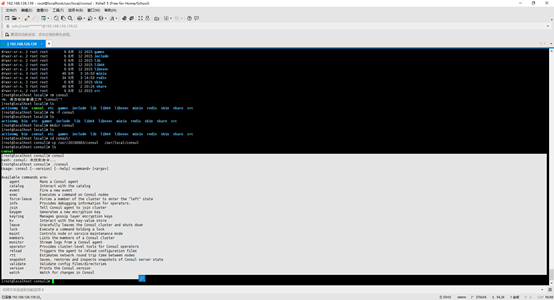 CentOS7下安装Consul和自启动配置_centos7 consul自启-CSDN博客